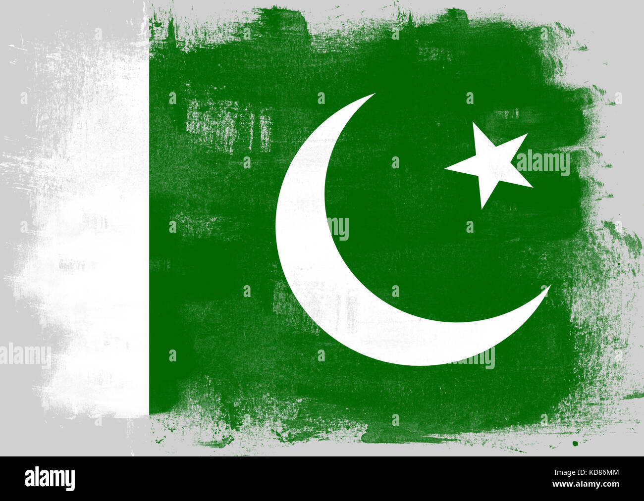 Flag of Pakistan painted with brush on solid background Stock Photo - Alamy