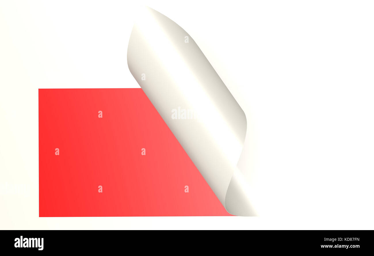 Roll up white paper image with hi-res rendered artwork that could be ...