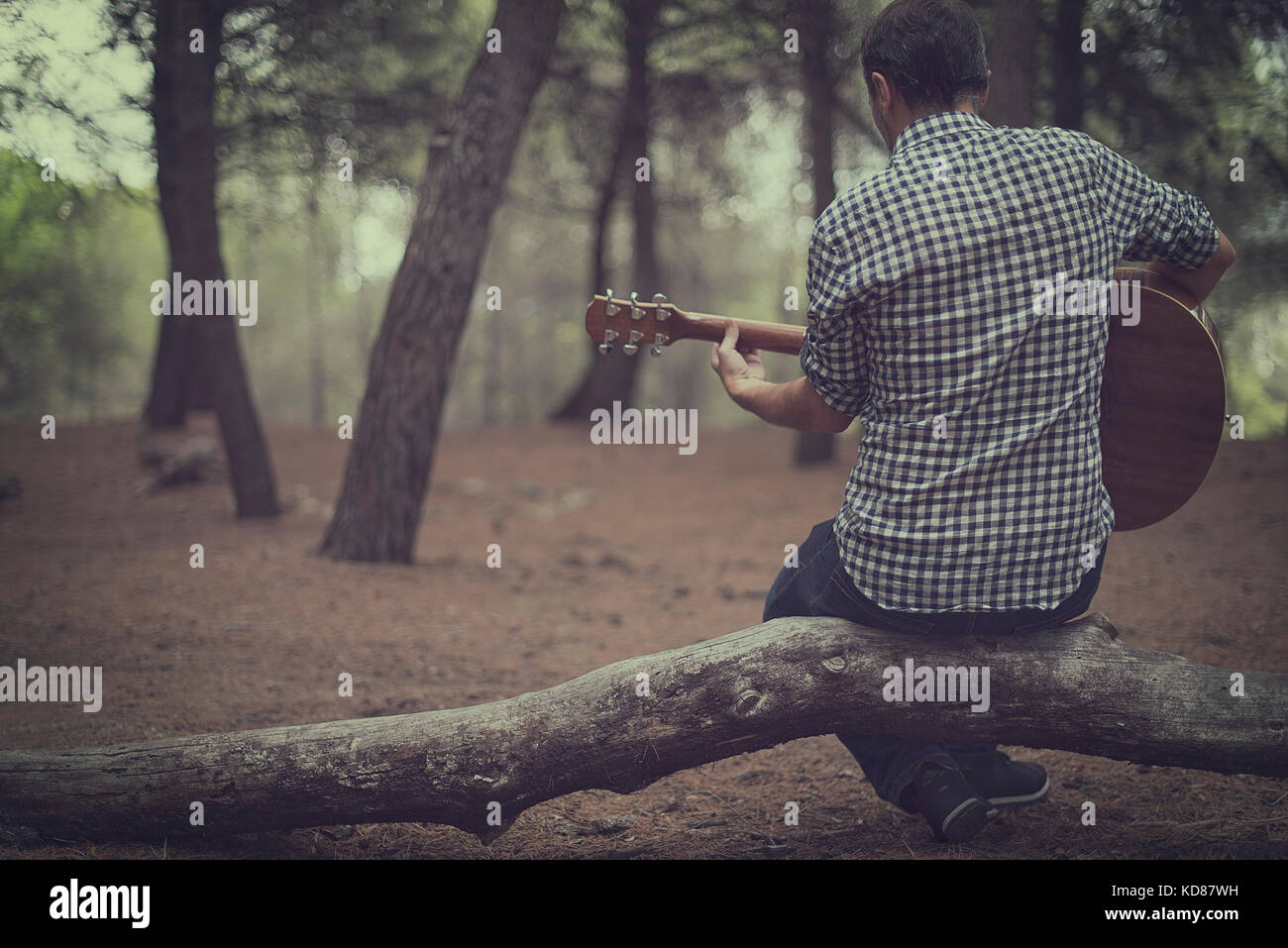 Man sitting in forest playing the guitar, Spain Stock Photo - Alamy