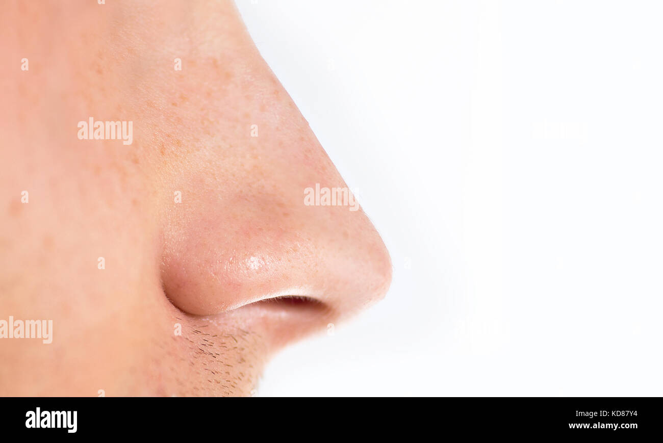 Human Nose Close Up
