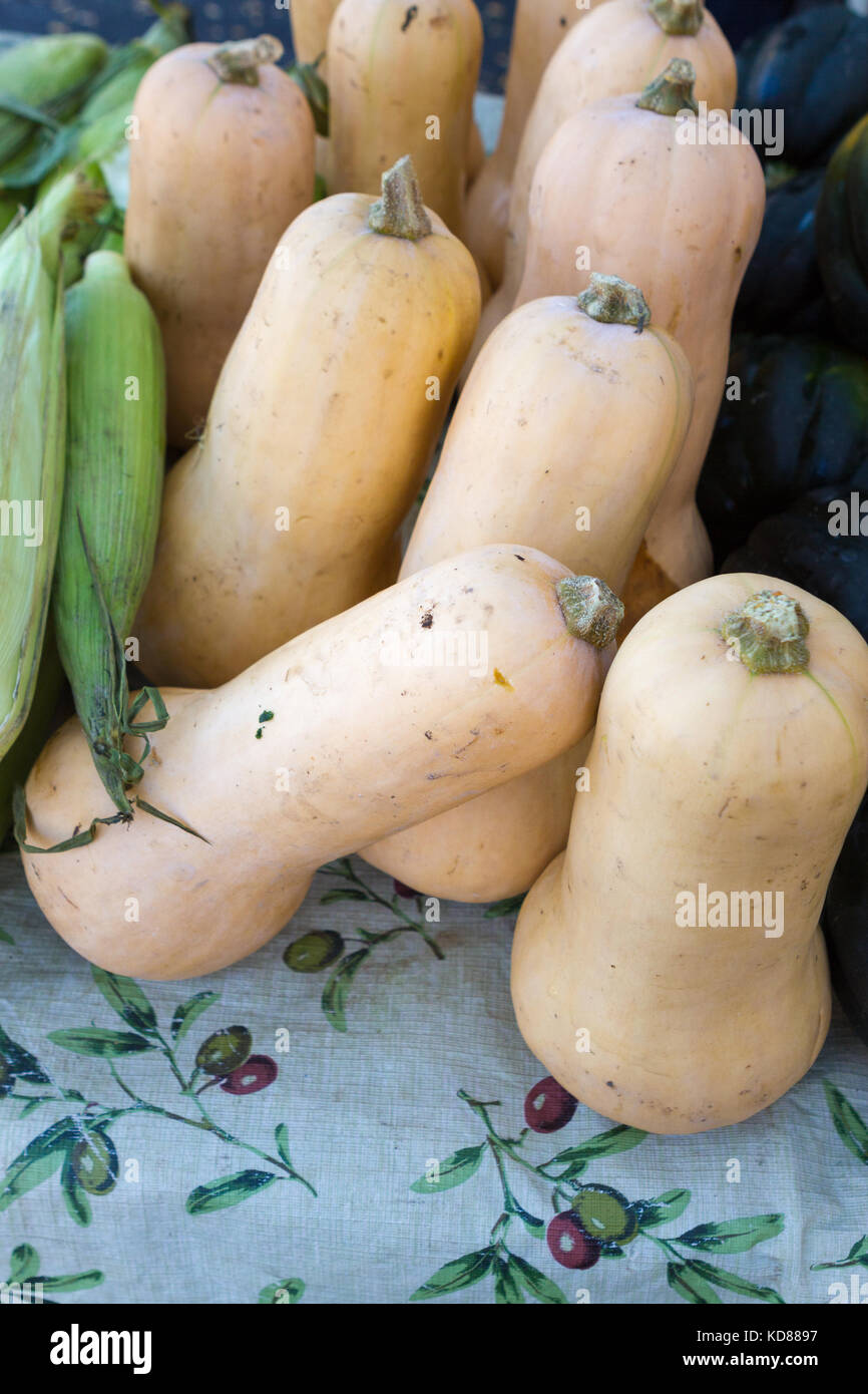 Butternut squash at market Stock Photo - Alamy