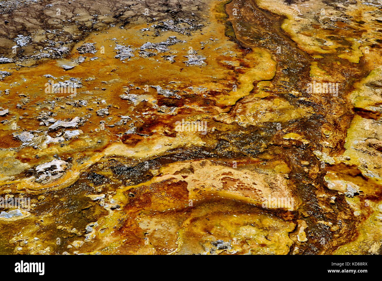 Yellowstone National Park Stock Photo - Alamy