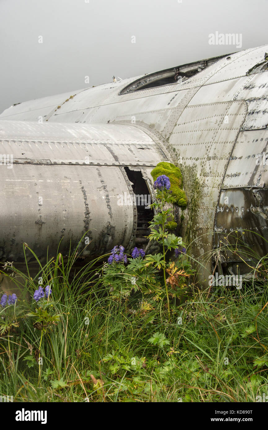 One of only two remaining known B-24 wrecks on Atka Island, Aleutian ...