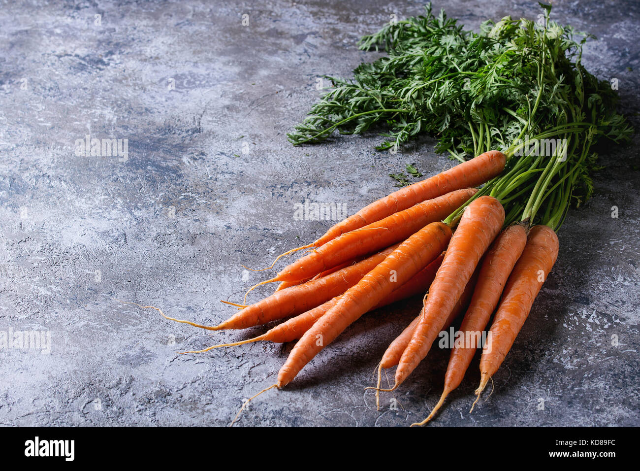Bundle of fresh organic carrot with haulm over gray texture background ...