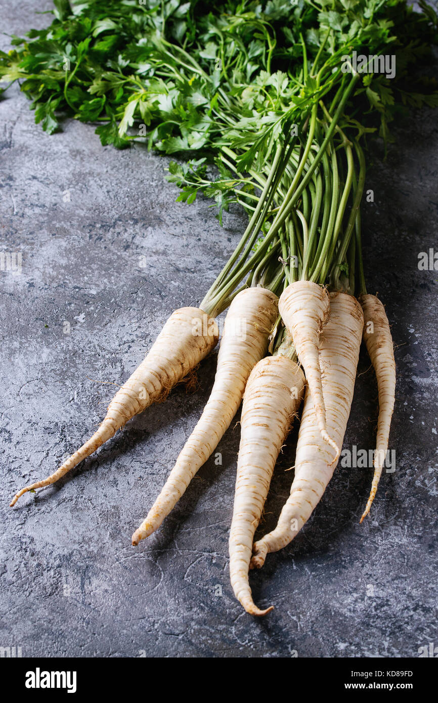 Bundle of fresh organic parsnip with haulm over gray texture background ...