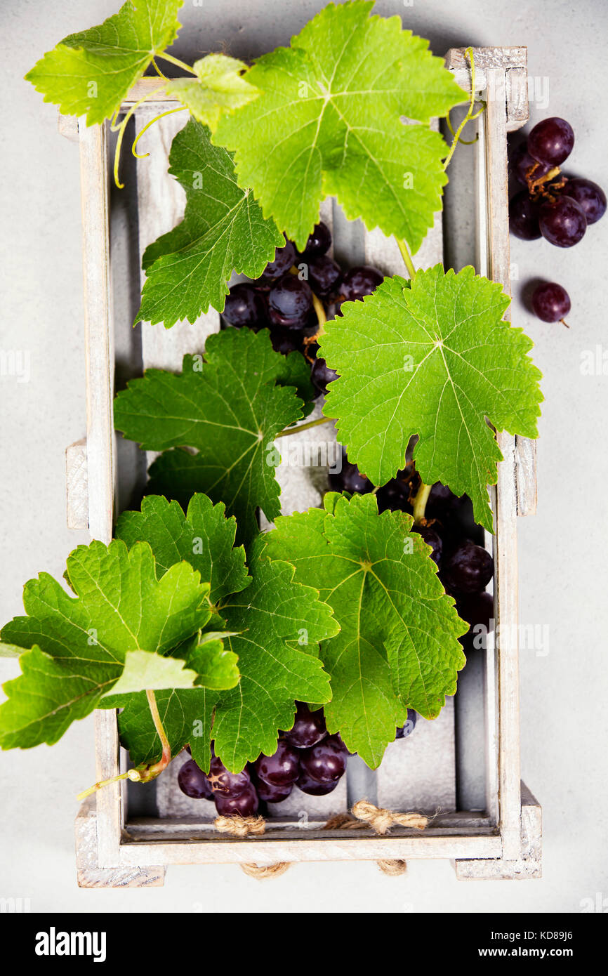 Beton and nature hi-res stock photography and images - Alamy