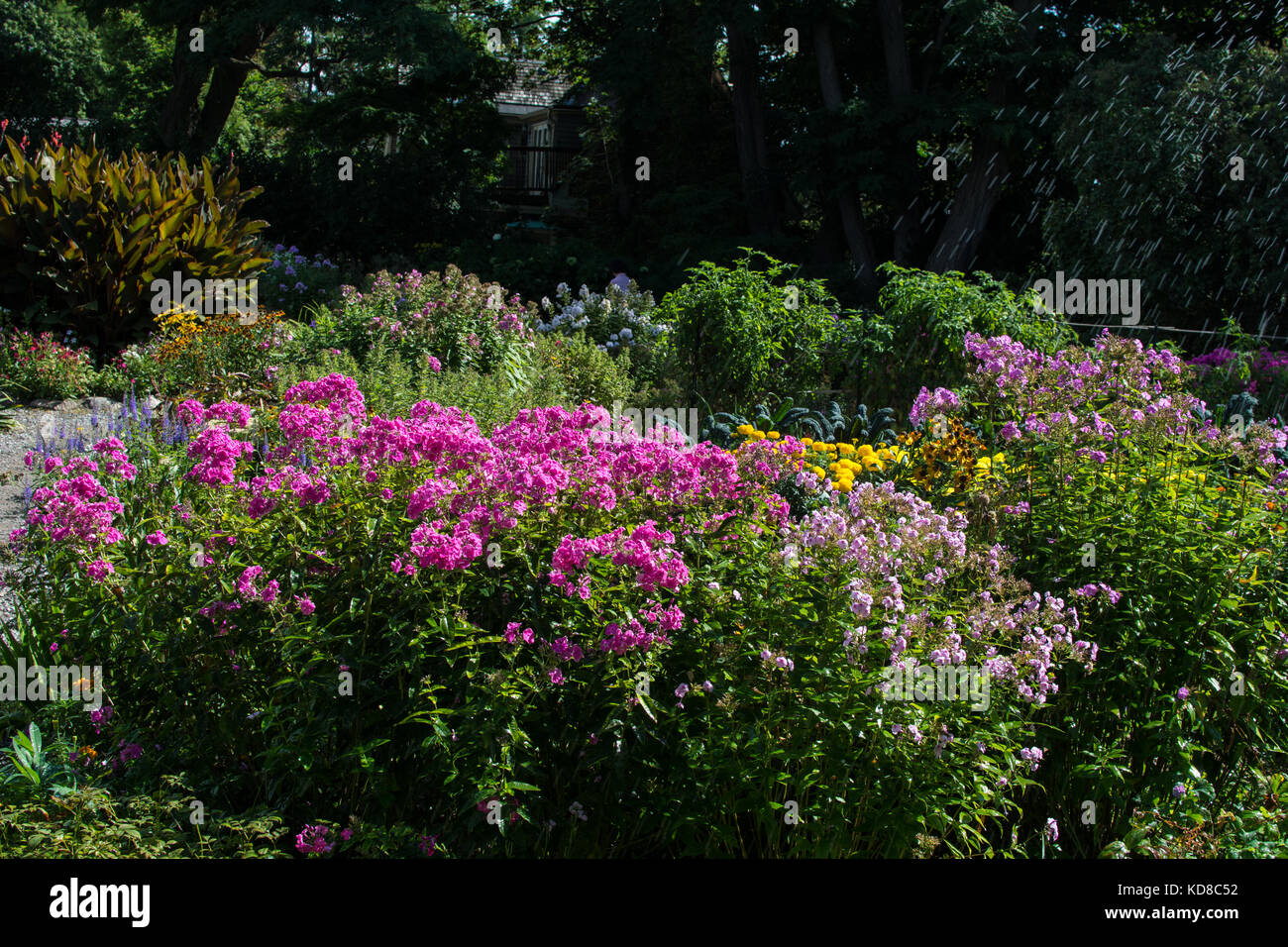 Gardens of Casa Loma Toronto Canada Austin Terrace plants plant ...