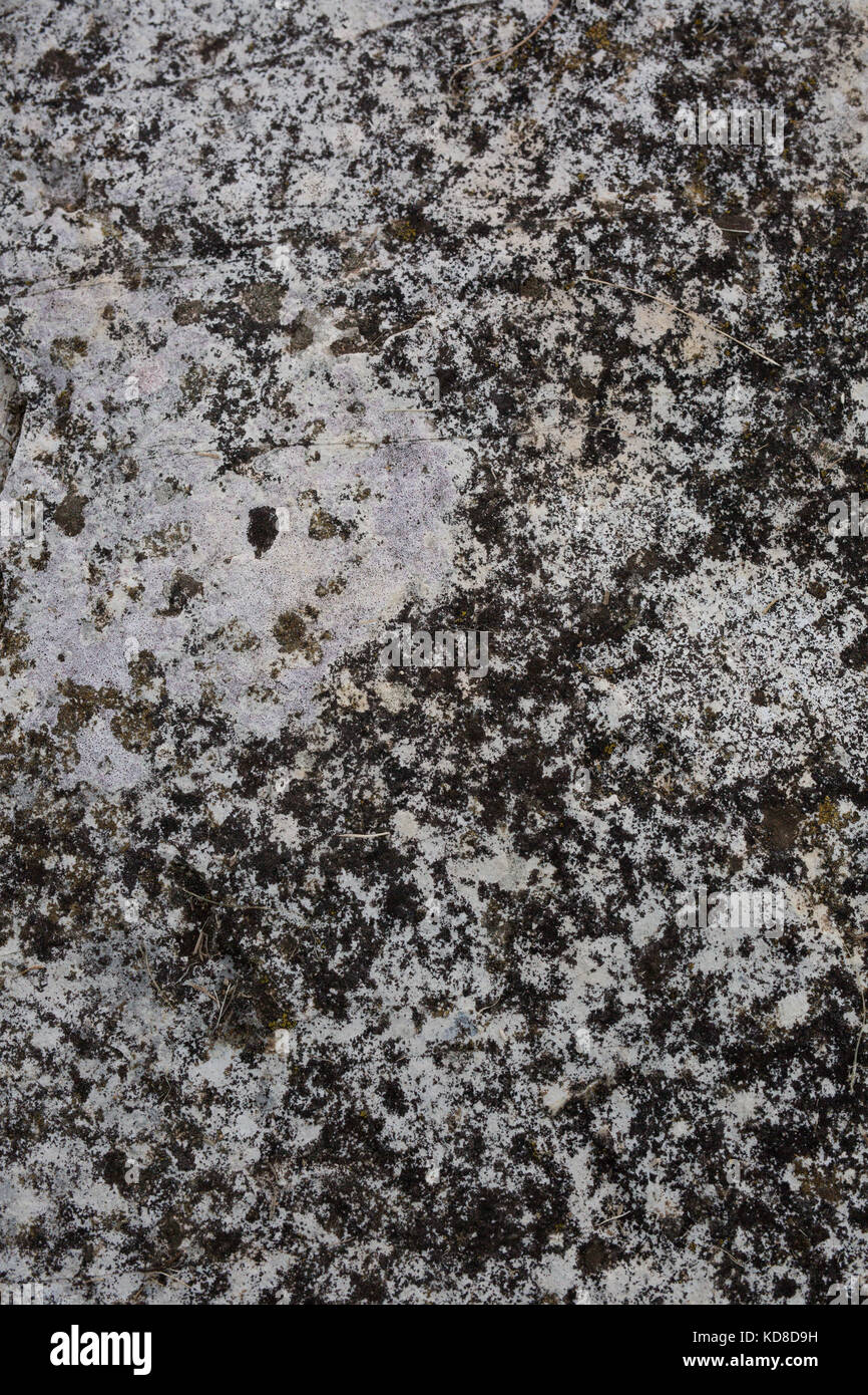 Curb Wall High Resolution Stock Photography and Images - Alamy