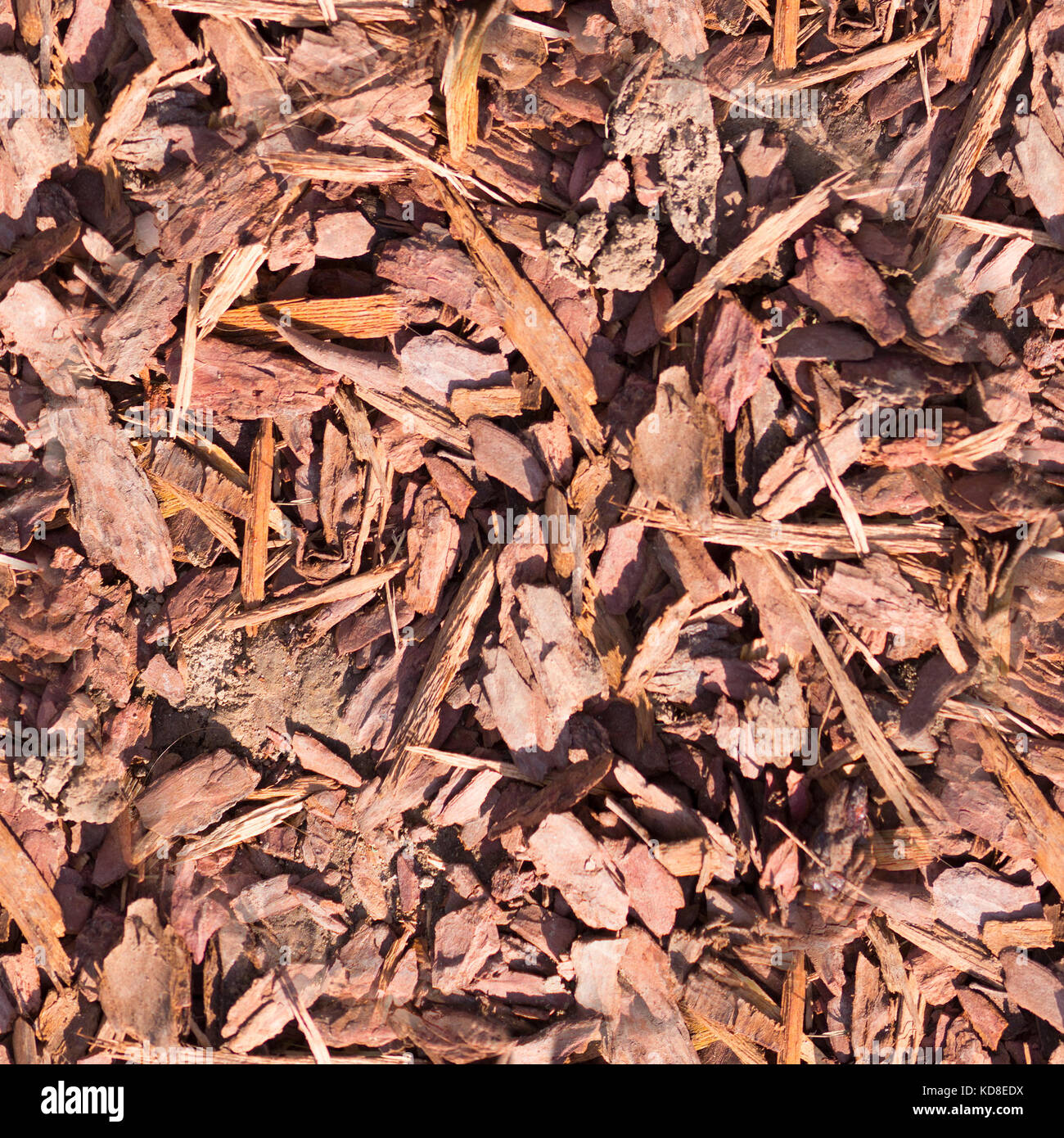 seamless wooden chips mulch on the ground texture. background Stock ...