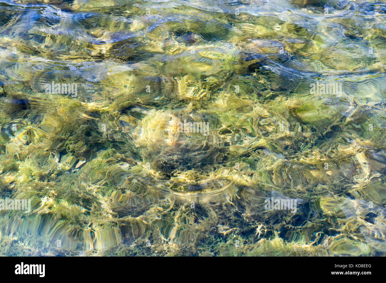 texture of water in tiled pool, fountain. background, nature Stock ...