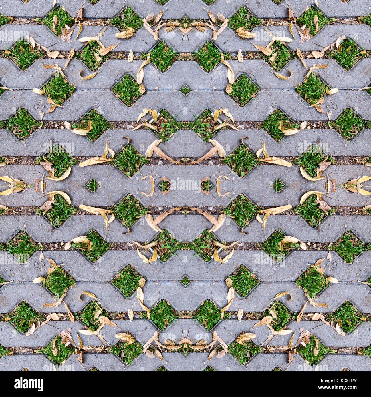 Grass paving block hi-res stock photography and images - Alamy