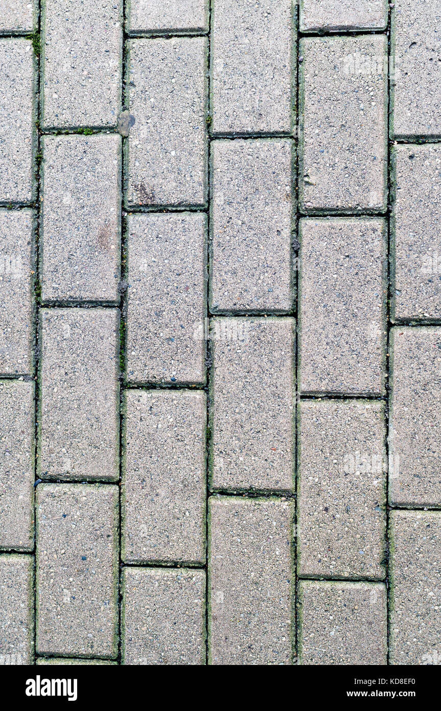 decorative paving tile on the sidewalk. background, texture, pattern ...