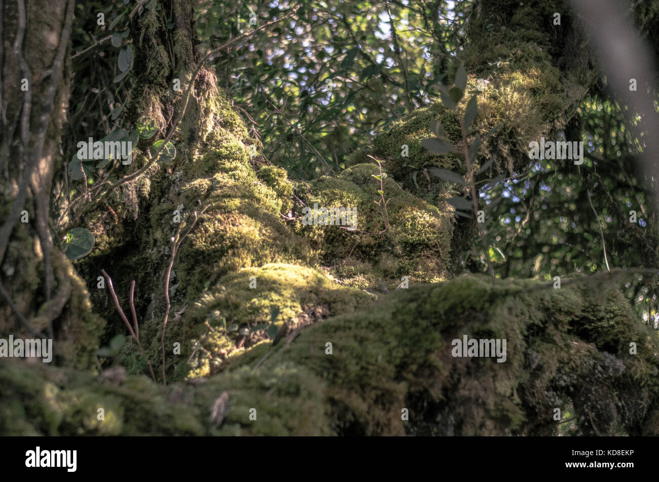 Choosing A side Stock Photo - Alamy