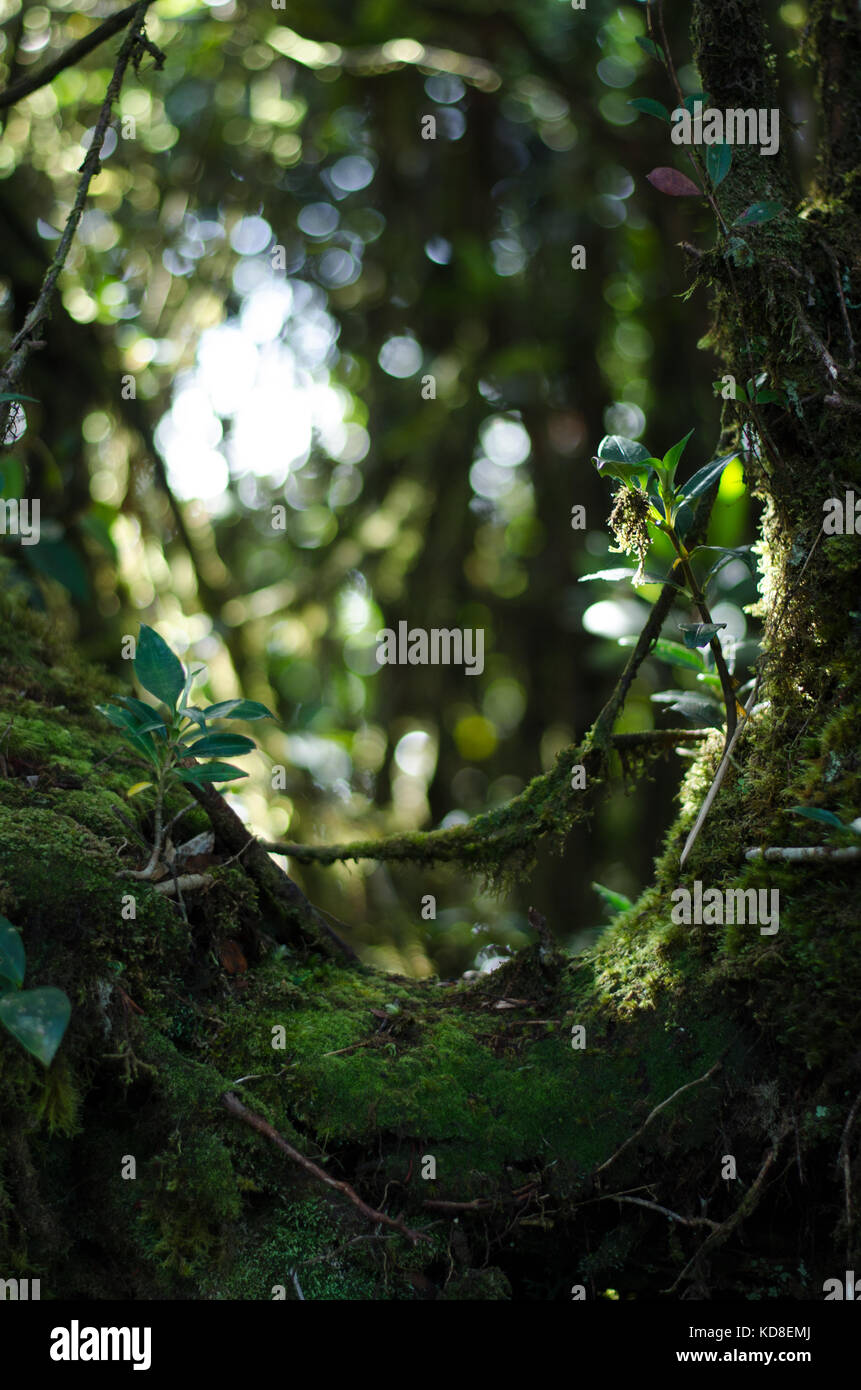 Choosing A side Stock Photo - Alamy