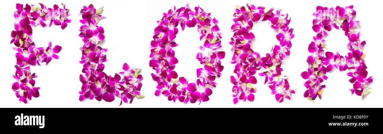 The word flora is lined with pink orchids Stock Photo - Alamy
