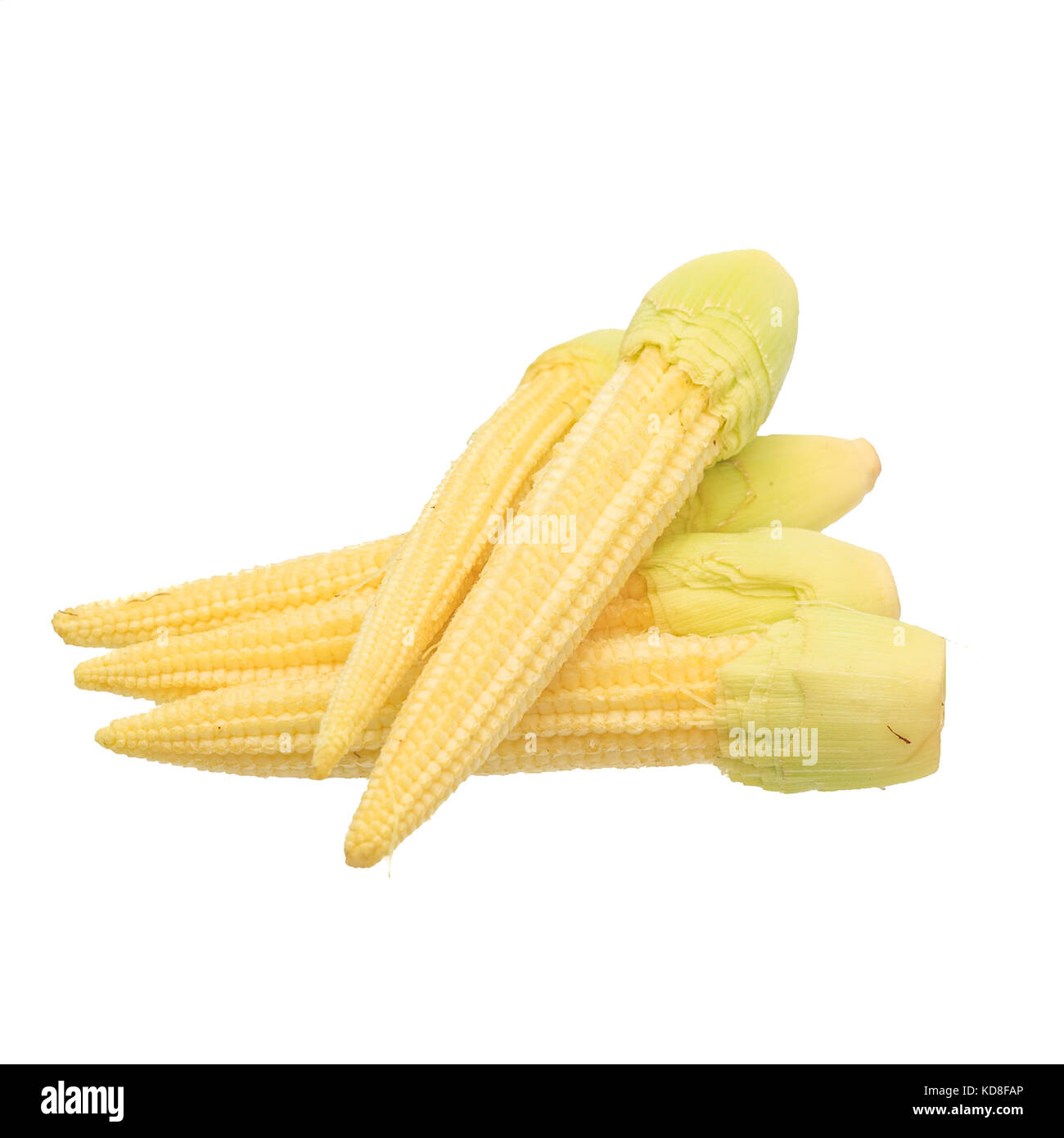 Baby corn isolated on white background close-up Stock Photo - Alamy