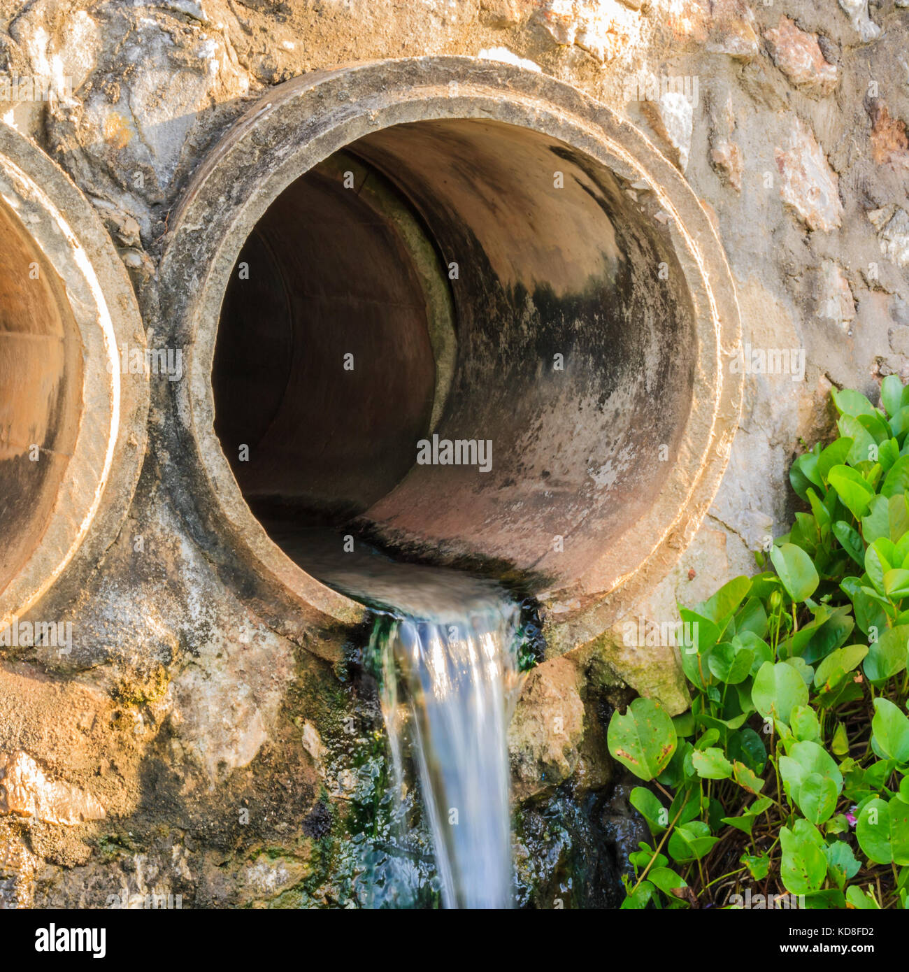 waste pipe or drainage polluting environment. concrete pipe Stock Photo ...