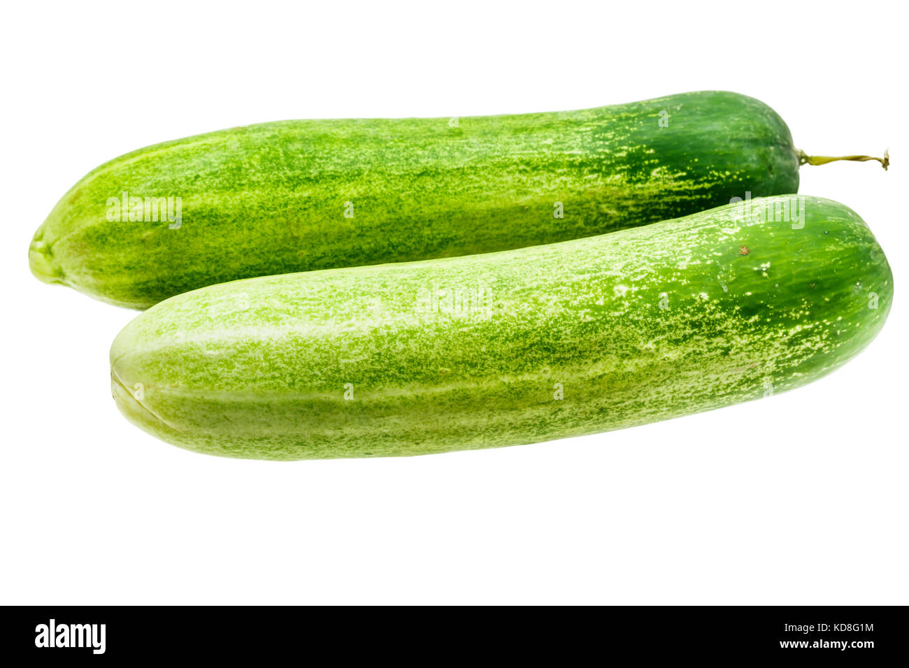 Cumber hi-res stock photography and images - Alamy