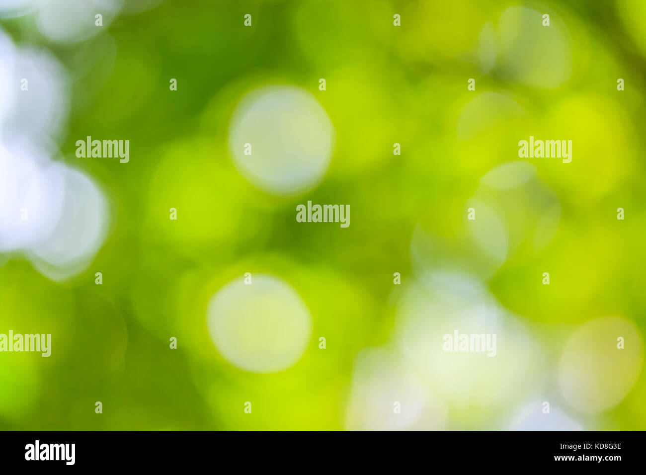 abstract green nature background selective focus Stock Photo - Alamy