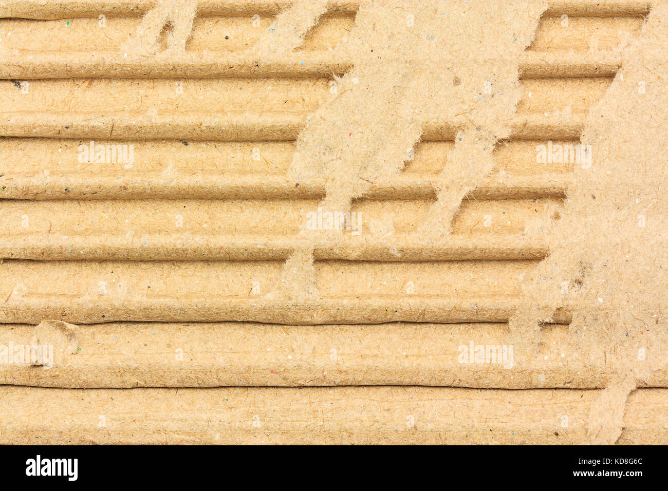 textured corrugated striped cardboard with natural fiber parts Stock ...