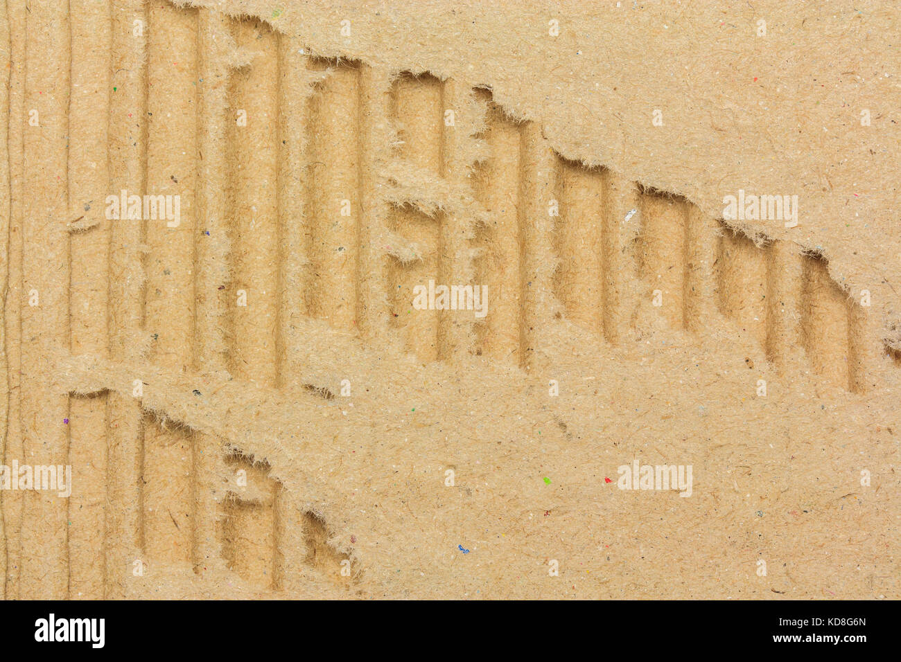 textured corrugated striped cardboard with natural fiber parts Stock ...