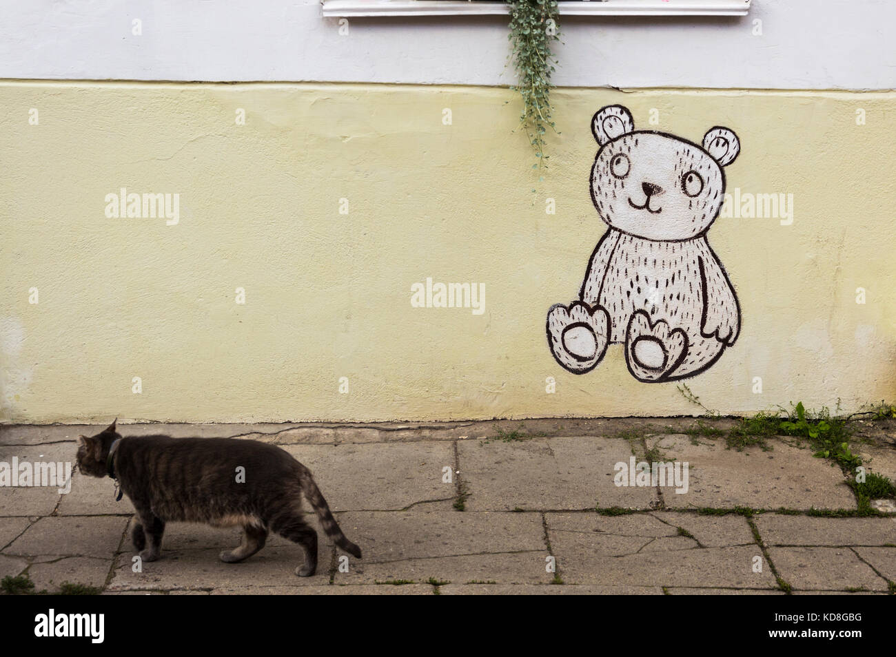 The Bear and the Cat Vilnius Lithuania Stock Photo - Alamy