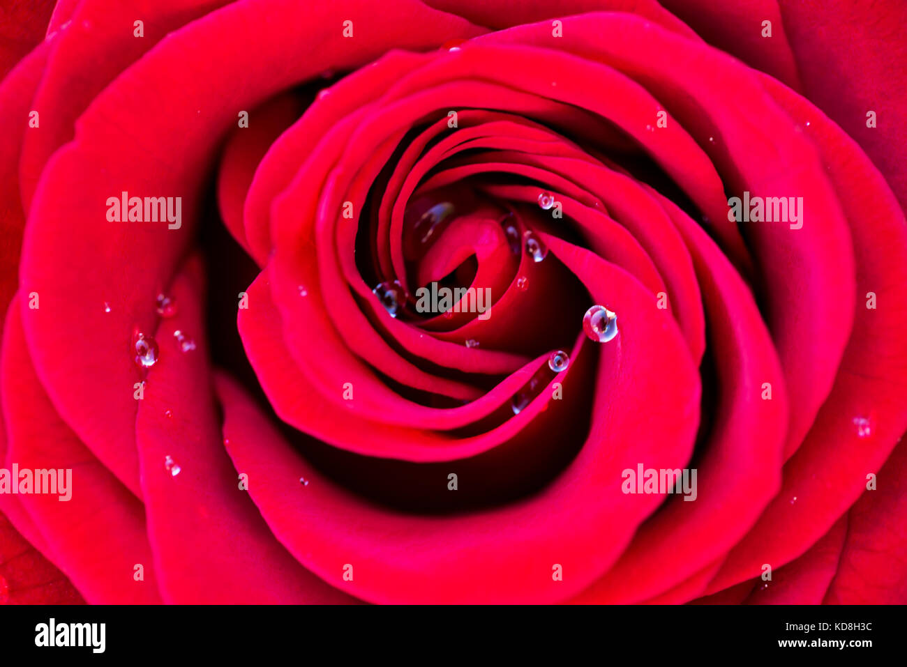 Red drops hi-res stock photography and images - Alamy
