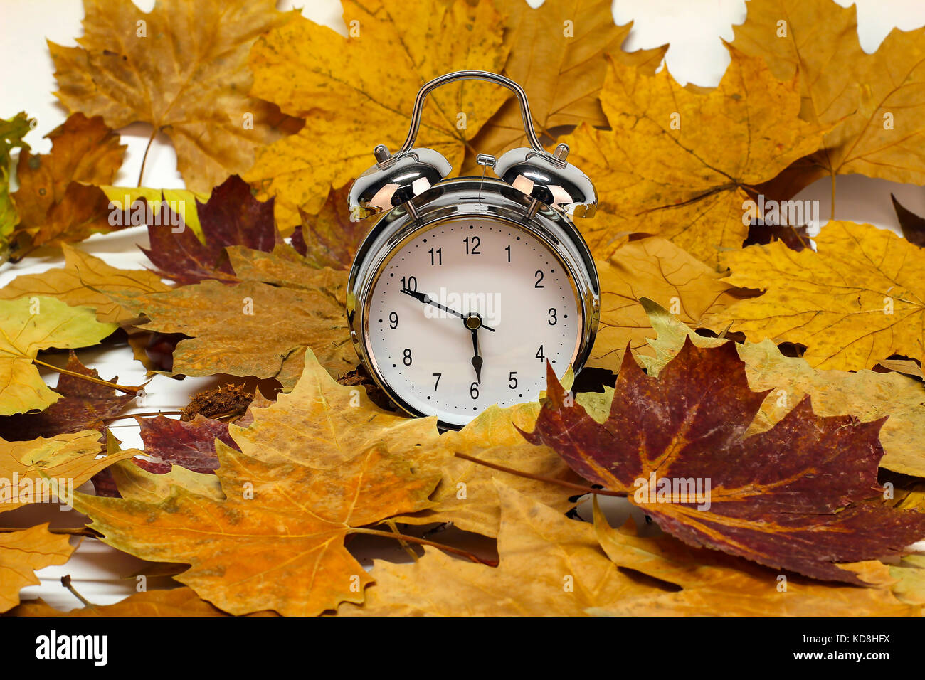 Autumn Still Life / Alarm clock and autumn leaves Stock Photo - Alamy
