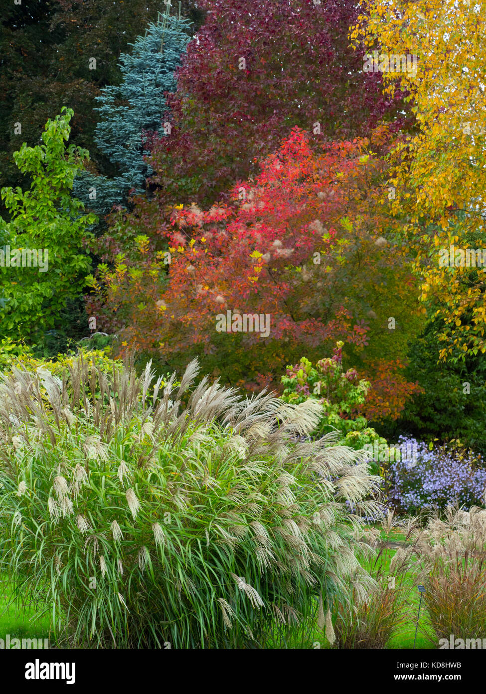 Autumn foliage at Bressingham Gardens Norfolk October Stock Photo - Alamy