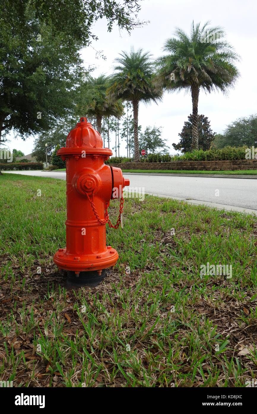 A fire hydrant painted a conspicuous orange to aid visibility in ...