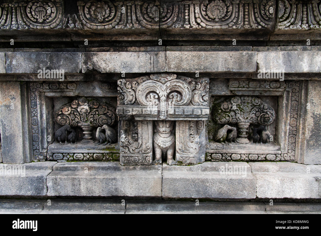 Kalpataru hi-res stock photography and images - Alamy