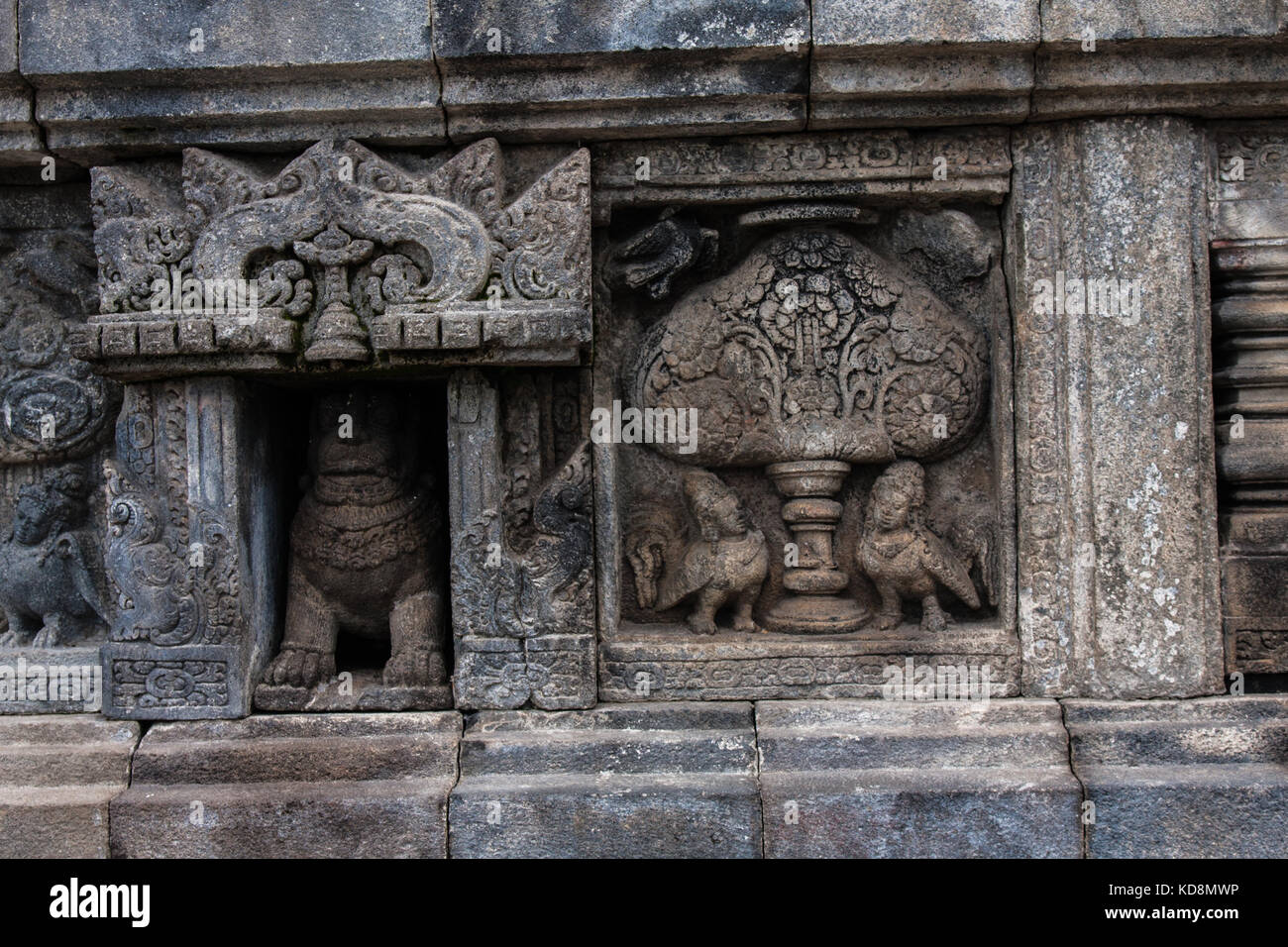 Kalpataru hi-res stock photography and images - Alamy
