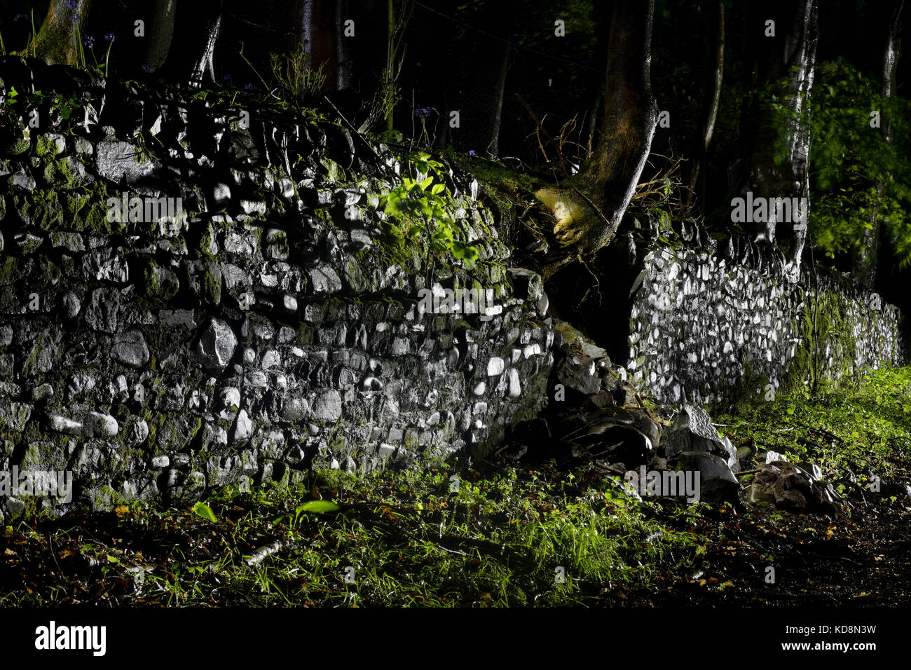 Nature Fighting Back High Resolution Stock Photography and Images - Alamy