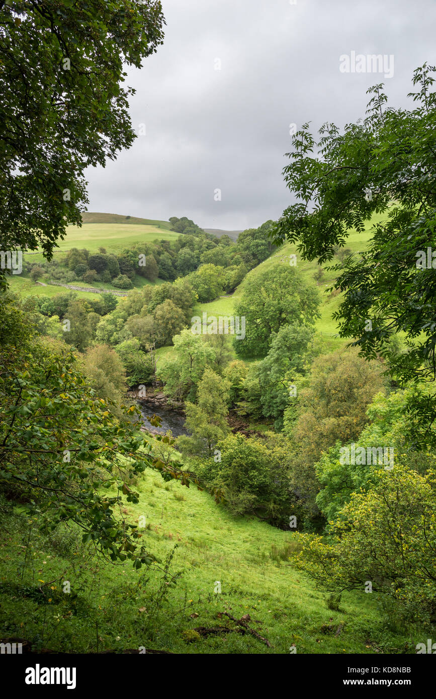 The river Swale in a lush green valley near Keld, Upper Swaledale ...