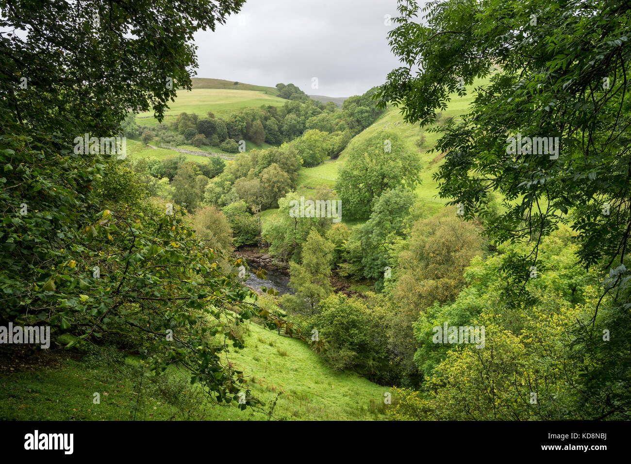 The river Swale in a lush green valley near Keld, Upper Swaledale ...