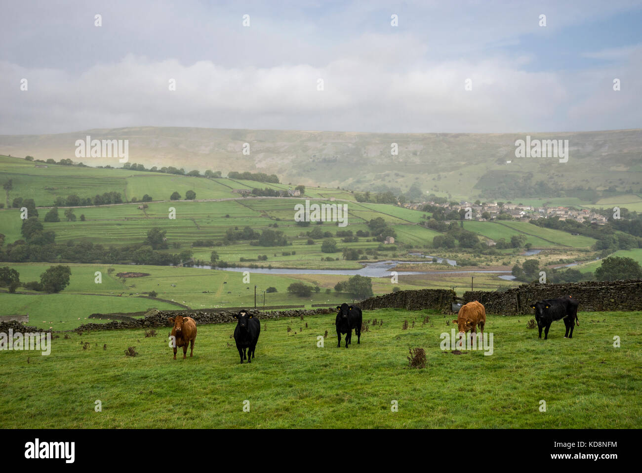 Rainy September day near Reeth in Swaledale, Yorkshire Dales, England ...