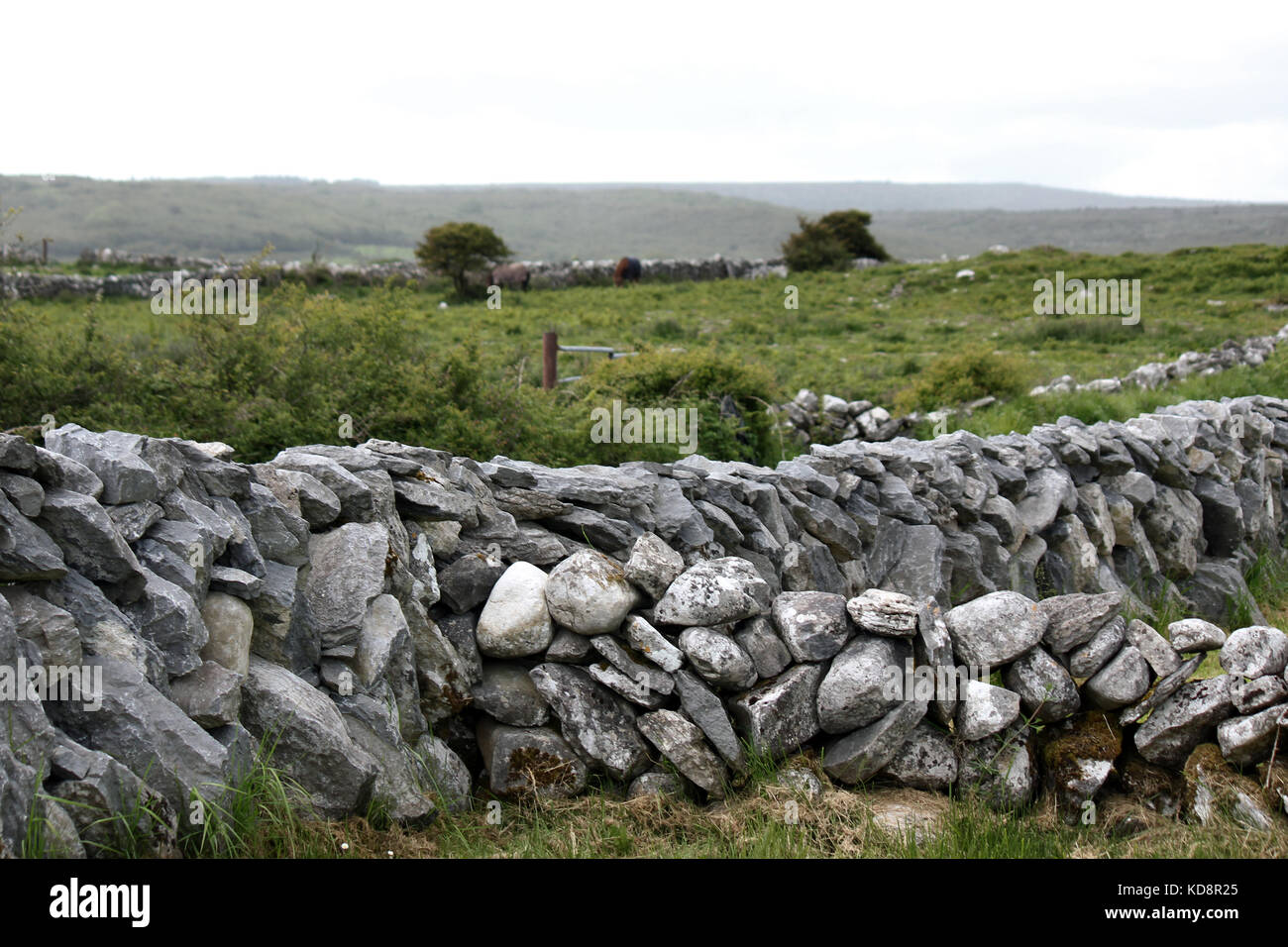 burren area Ireland Stock Photo - Alamy