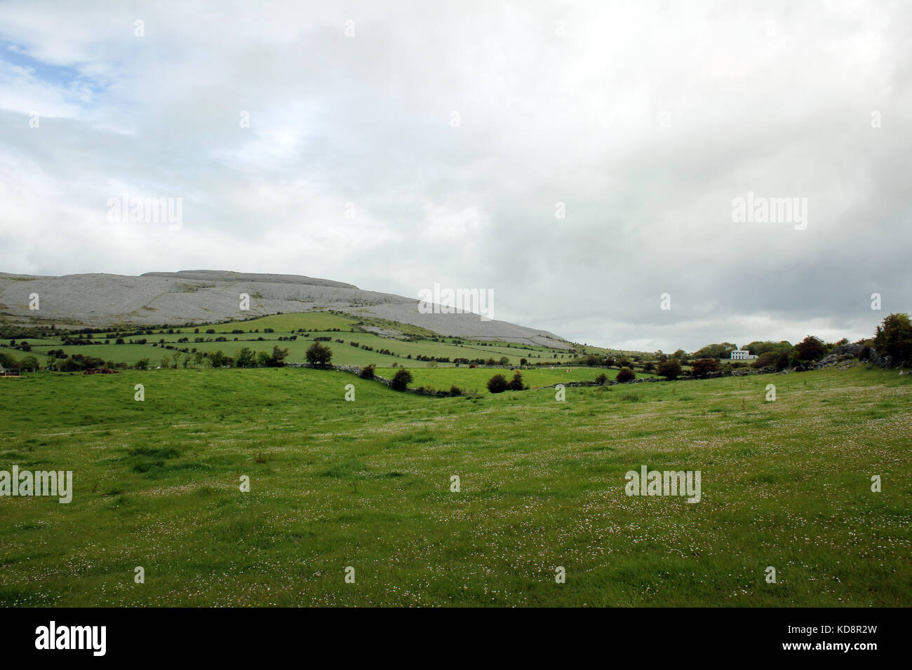 burren area Ireland Stock Photo - Alamy