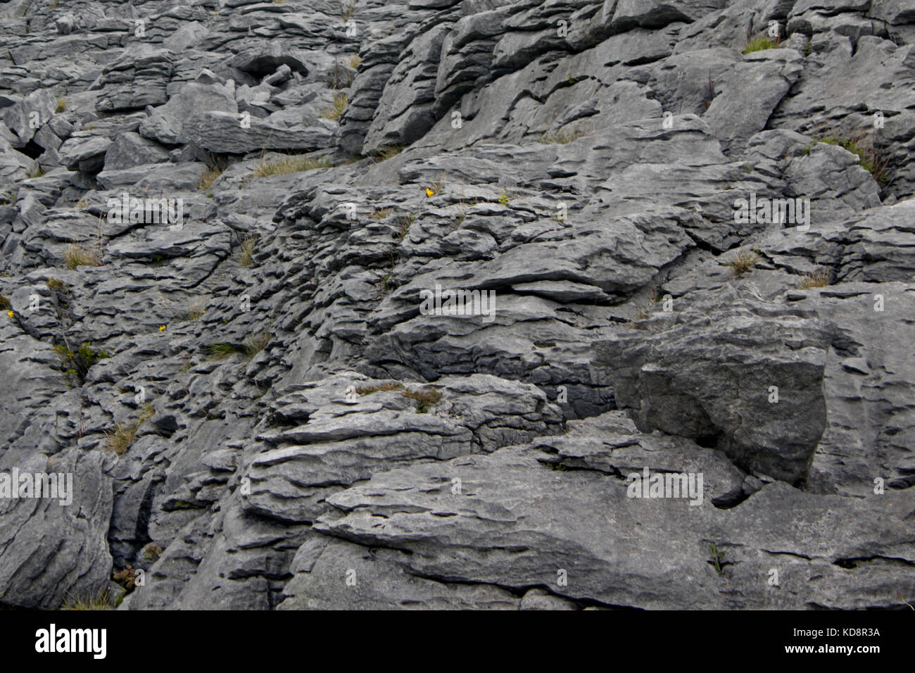 burren area Ireland Stock Photo - Alamy