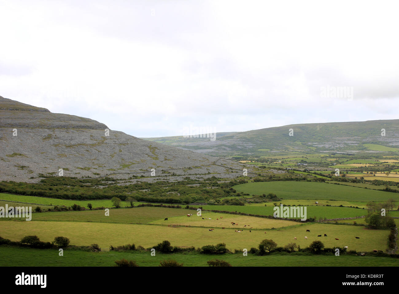 burren area Ireland Stock Photo - Alamy