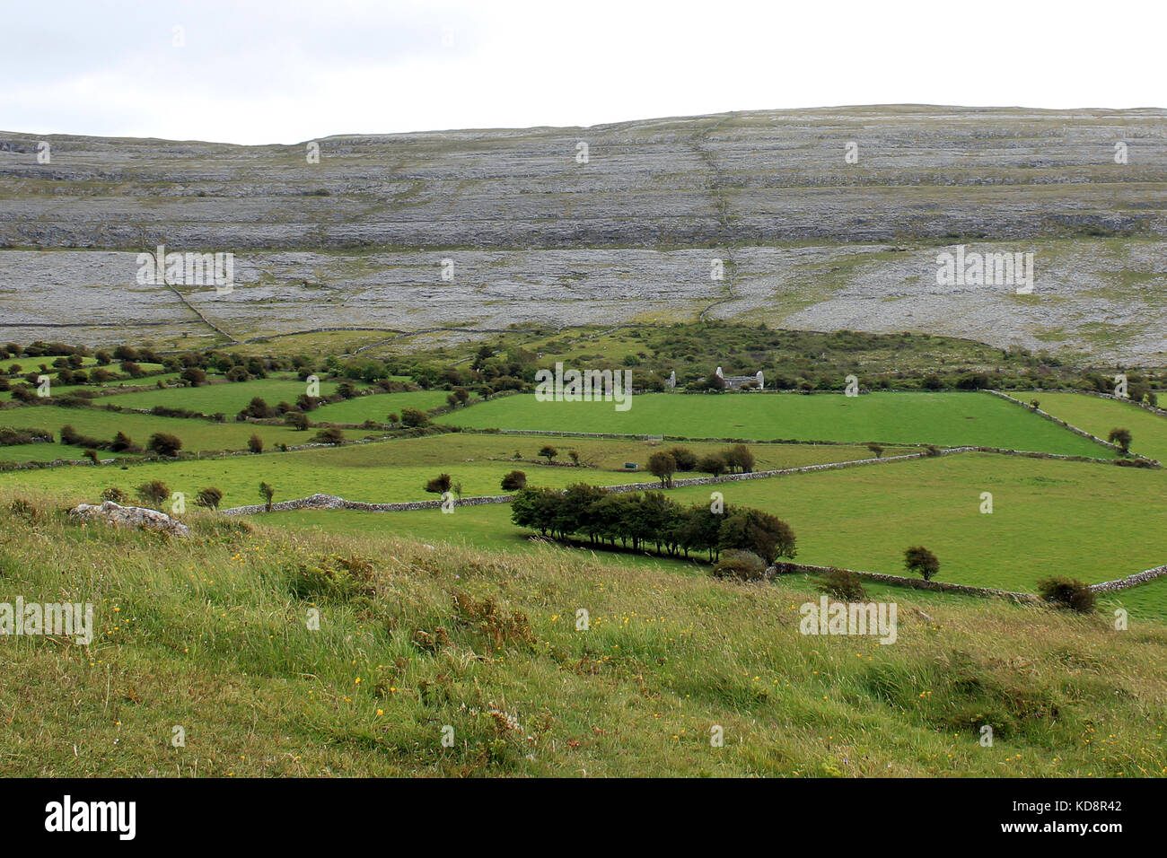 burren area Ireland Stock Photo - Alamy