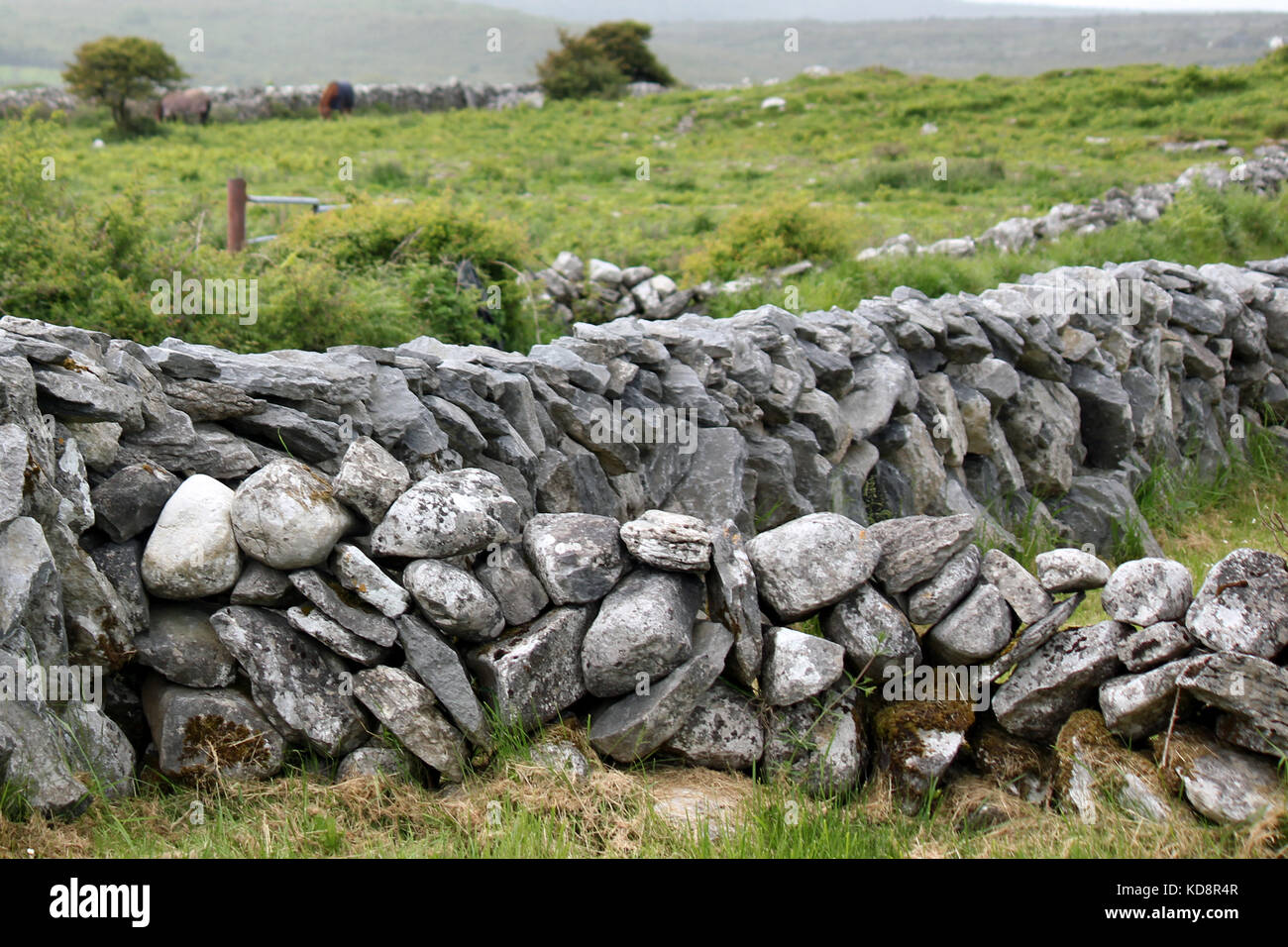 burren area Ireland Stock Photo - Alamy