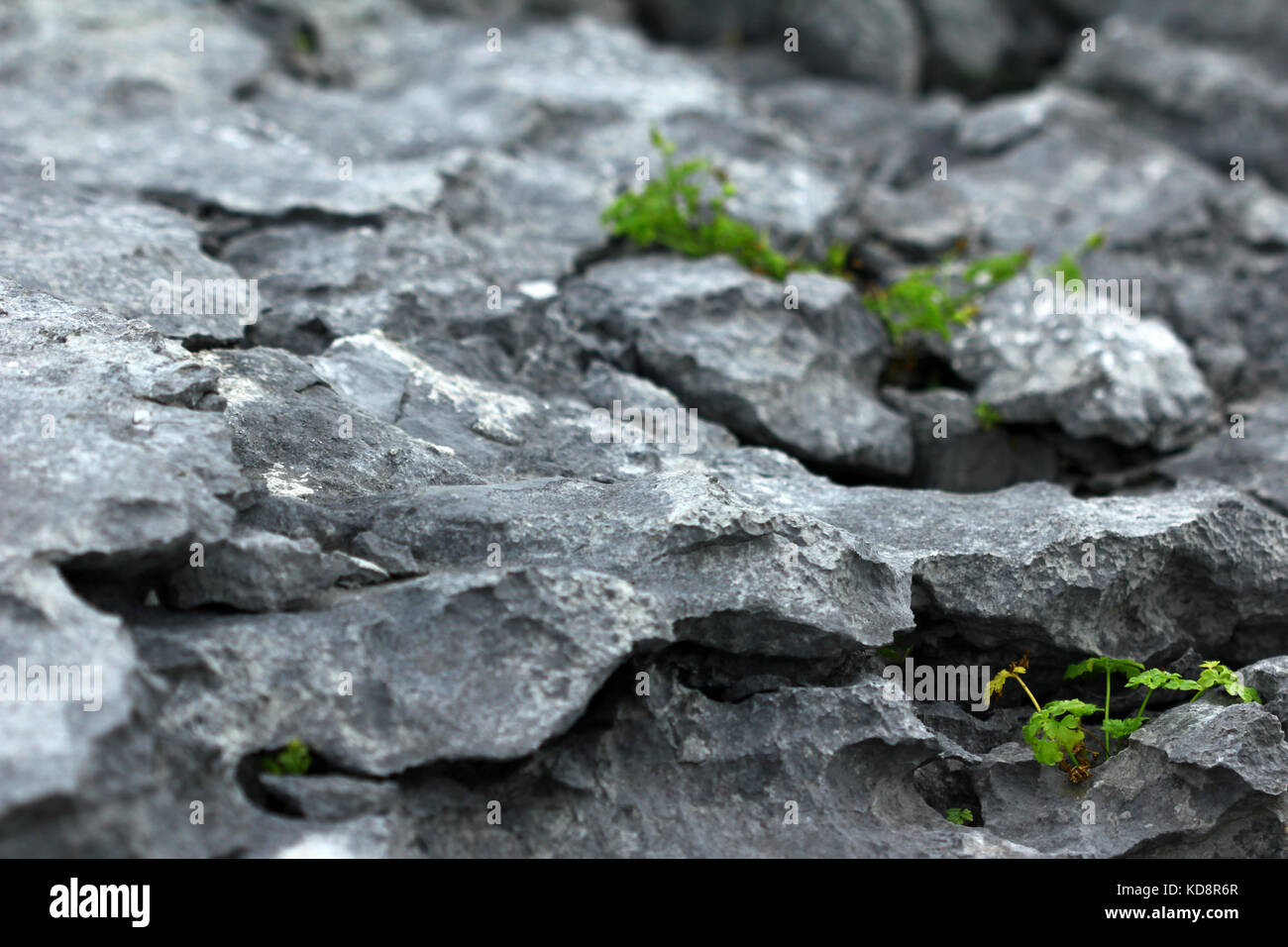 burren area Ireland Stock Photo - Alamy