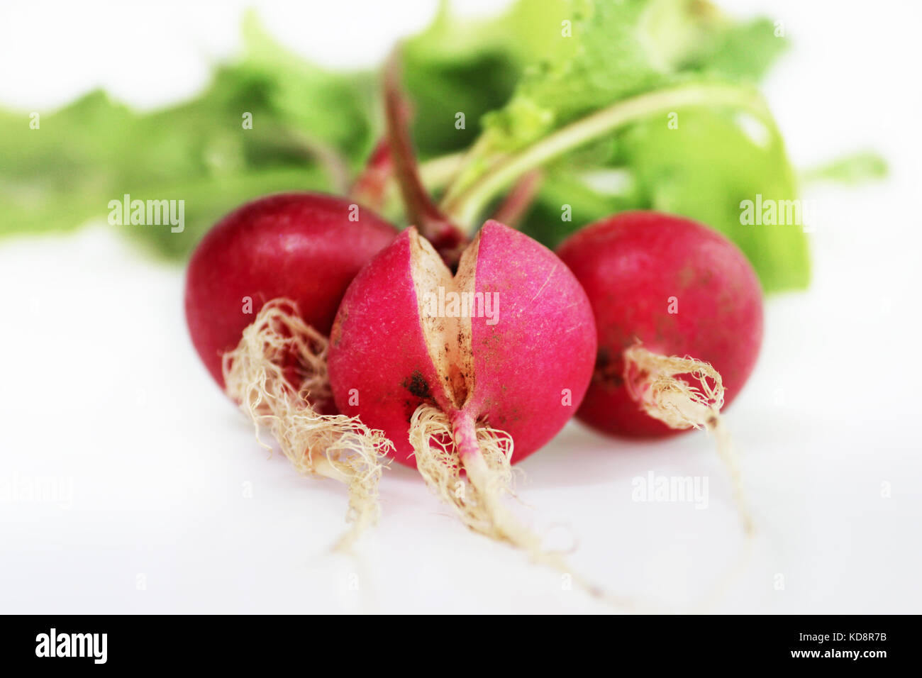 three small radishes on a white background, one of which is cracked as ...