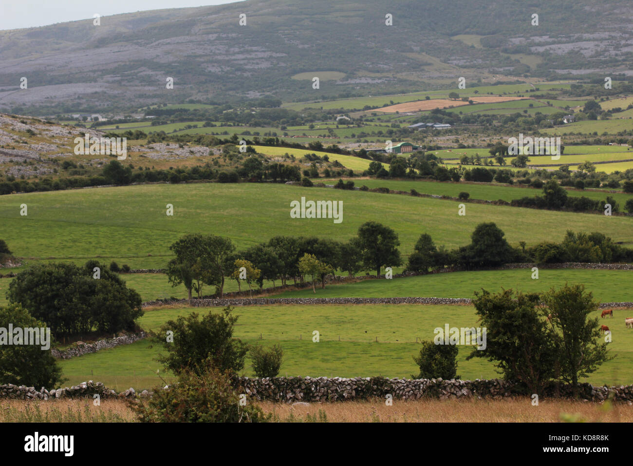 burren area Ireland Stock Photo - Alamy