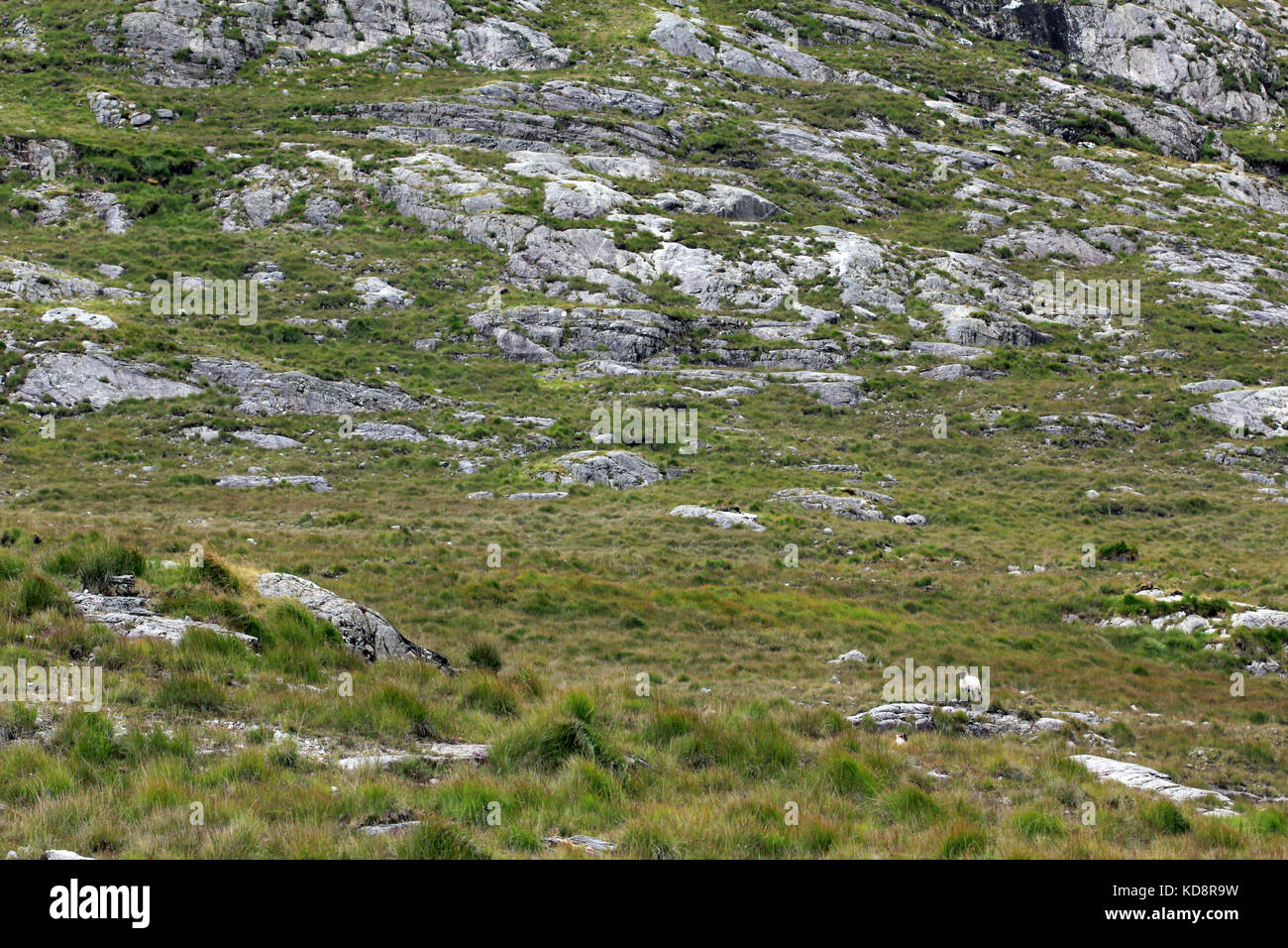 burren area Ireland Stock Photo - Alamy
