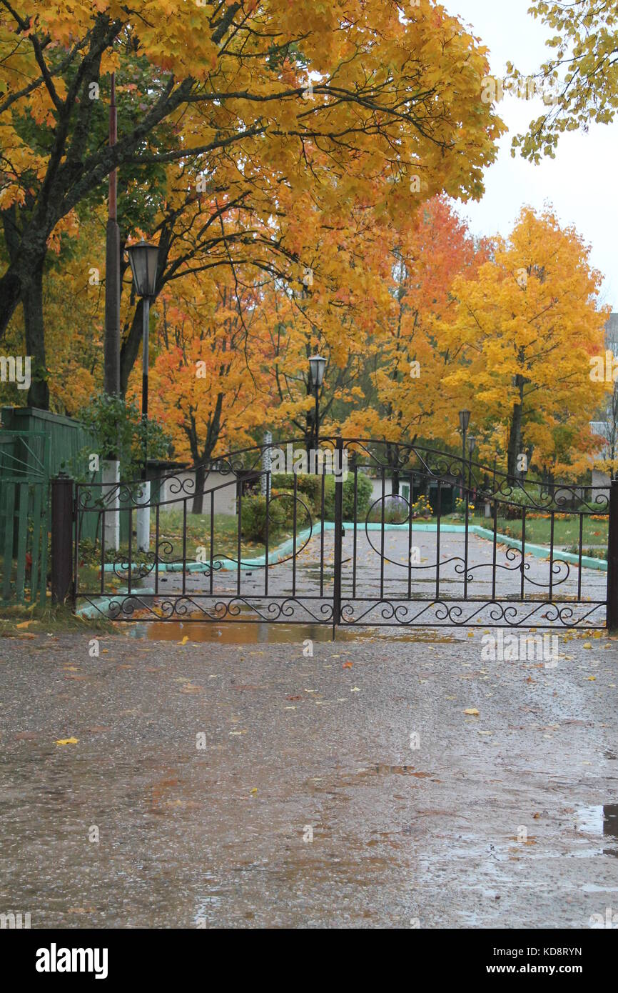 Beautiful peaceful street trees hi-res stock photography and images - Alamy