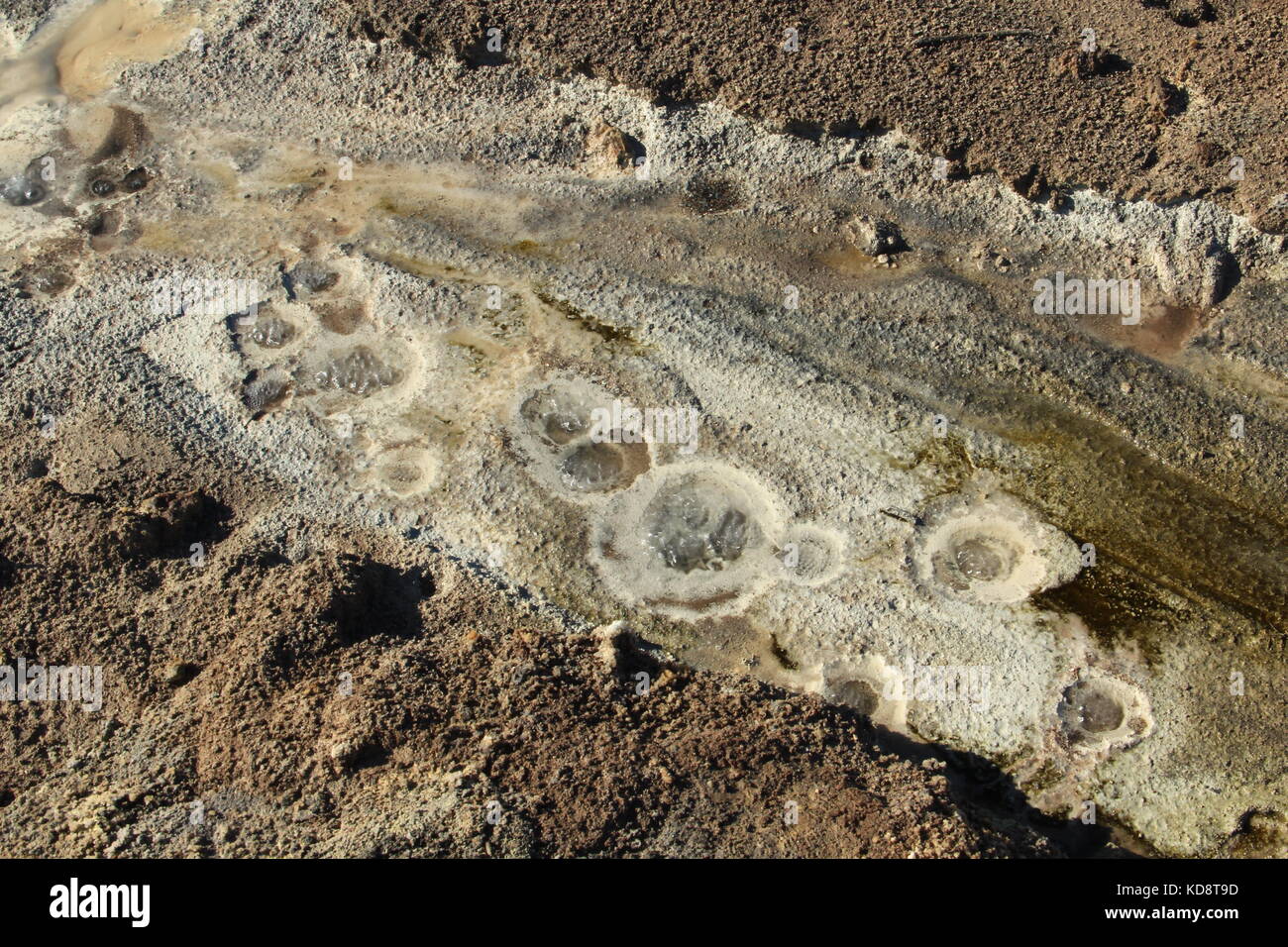 Pomezia hi-res stock photography and images - Alamy