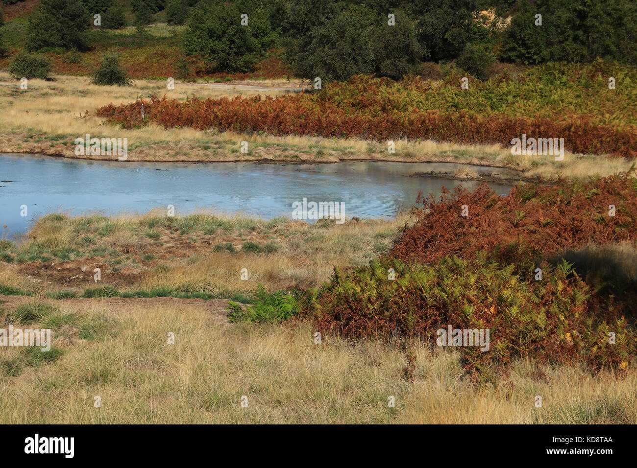 Pomezia hi-res stock photography and images - Alamy