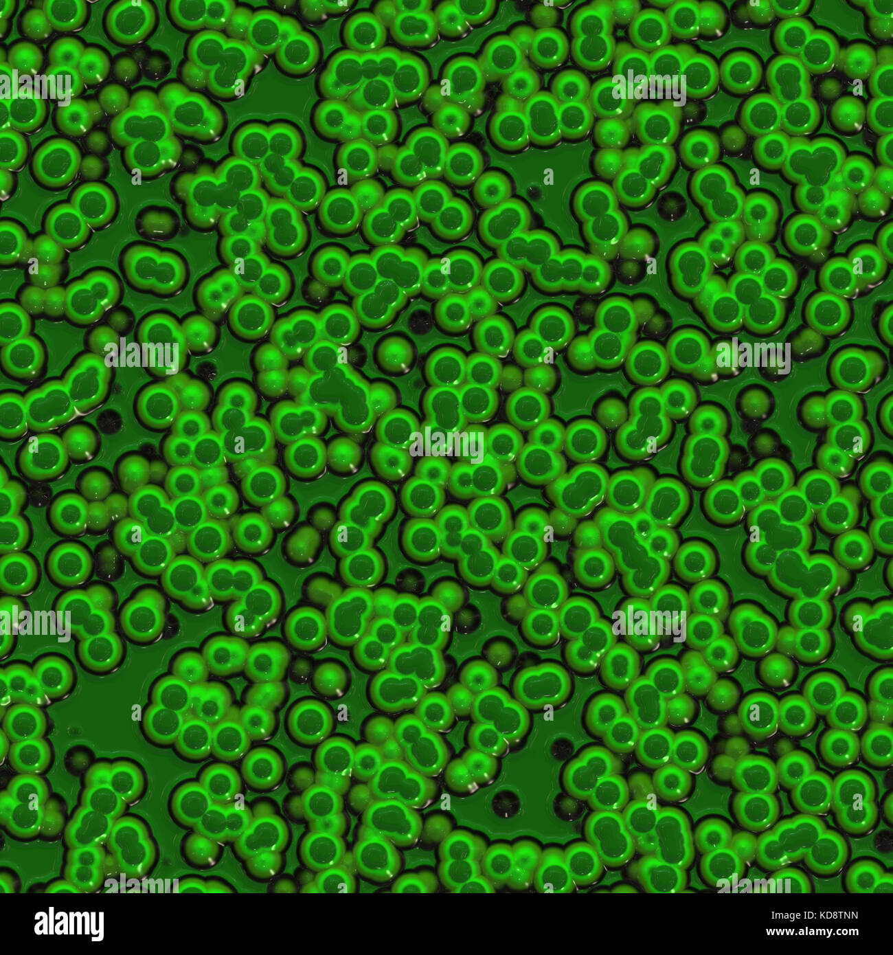 Green bacterial closeup Stock Photo - Alamy